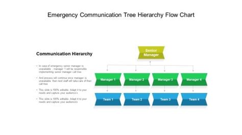 Hierarchy Tree Powerpoint Templates Slides And Graphics