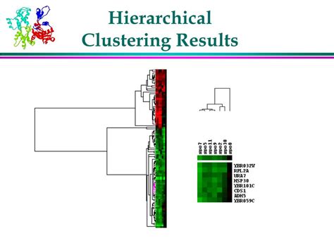 Ppt Clustering Analysis Of Microarray Gene Expression Data Powerpoint