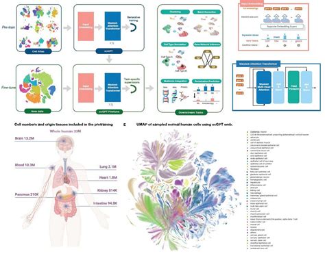 Spatialomics Spatialbiology Singlecellanalysis Singlecell Universityhealthnetwork