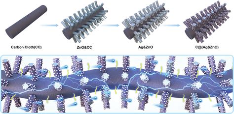 Schematic Illustration Of The Preparation Of The C Agandzno On Carbon Download Scientific