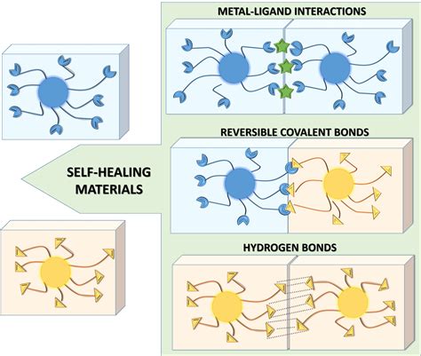 Self Healing Polymer Materials At Savannah Derrington Blog