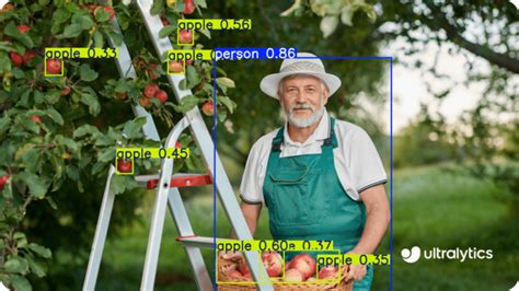 Deploying Ultralytics YOLO Models On Raspberry Pi Devices Raspberry Pi