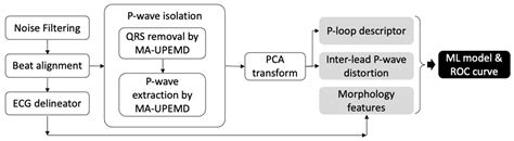 Identification Of Patients With Potential Atrial Fibrillation During Sinus Rhythm Using Isolated