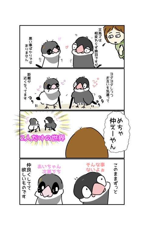 文鳥マンガ換羽中の文鳥ズ きみよの部屋