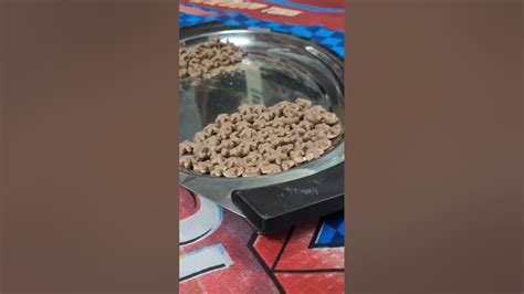 Kellogs Chocos Youtube