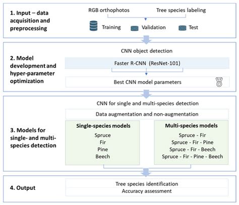 Individual Tree Crown Detection And Species Identification In Heterogeneous Forests Using Aerial