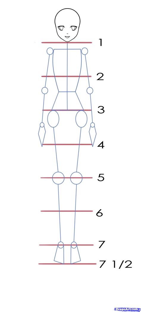 Anime Bodies Drawing Anime Bodies Drawing Body Proportions Drawing Tips