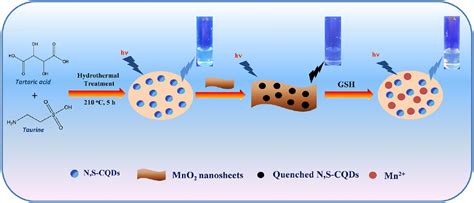 Carbon Dot As Fluorescence Sensor For Glutathione In Human Serum Samples A Review Materials