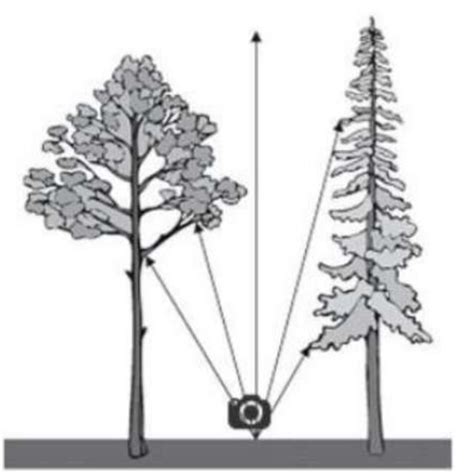 Illustration Of Hemispherical Photography Method For Measuring Canopy Download Scientific