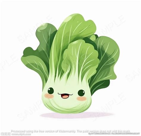 可爱的白菜插画高清图片 花瓣网