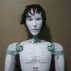 HOWTO Start MyRobotLab InMoov