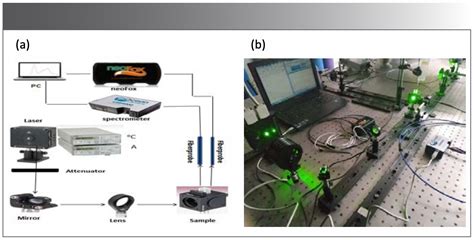 Effect Of Tissue Optical Properties On The Fluorescence Of Bodipy Derivative As A