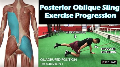 How To Perform Oblique Sling Exercises Blgqmg