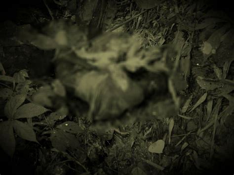 နန့်မွန်းမြို့အနီးရှိ တောစပ်တစ် နေရာတွင် အမျိုးသမီးငယ်နှစ်ဦး သတ်ဖြတ်ခံရ The 74 Media