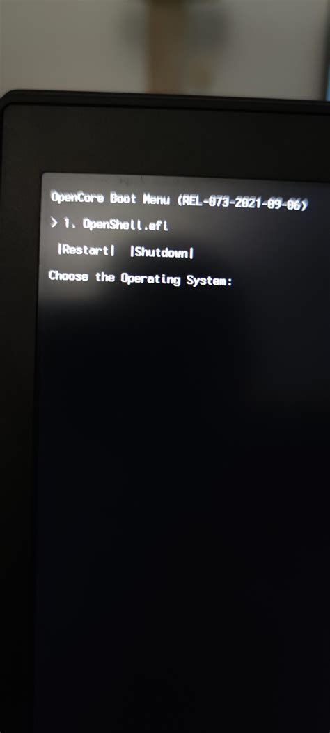 No Os Shows In Opencore Boot Menu Rhackintosh