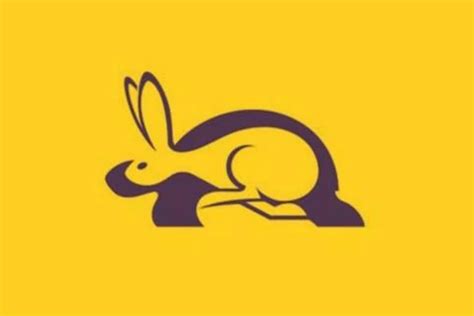 육안 테스트 거북이가 보이나요 아니면 무료 거북이가 보이나요당신이 객관적인 사람인지 알아라 Infobae