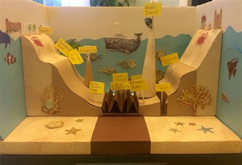 Ocean Floor Model Project Ideas