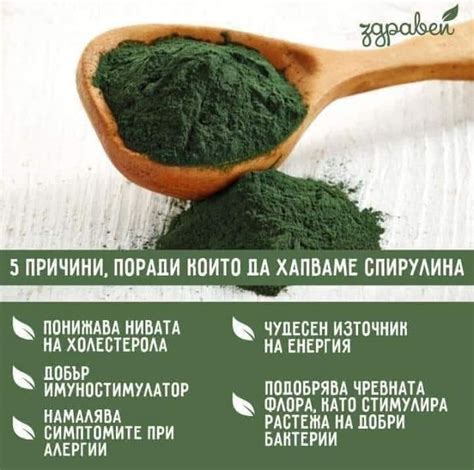 Хапка здраве всеки ден с Дими Георгиева Каква е разликата между ЗЕЛЕНА ЕНЕРГИЯ и АФА 💚