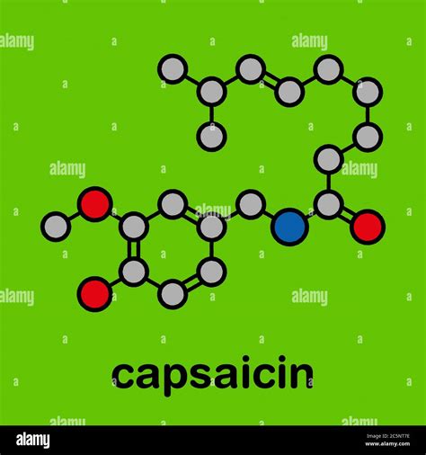 Capsaicin Chili Pepper Molecule Used In Food Drugs Pepper Spray Etc