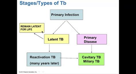 Unit 5 Bio 202 Flashcards Quizlet