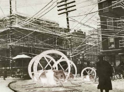 Cursed Arduino Project Rarduino