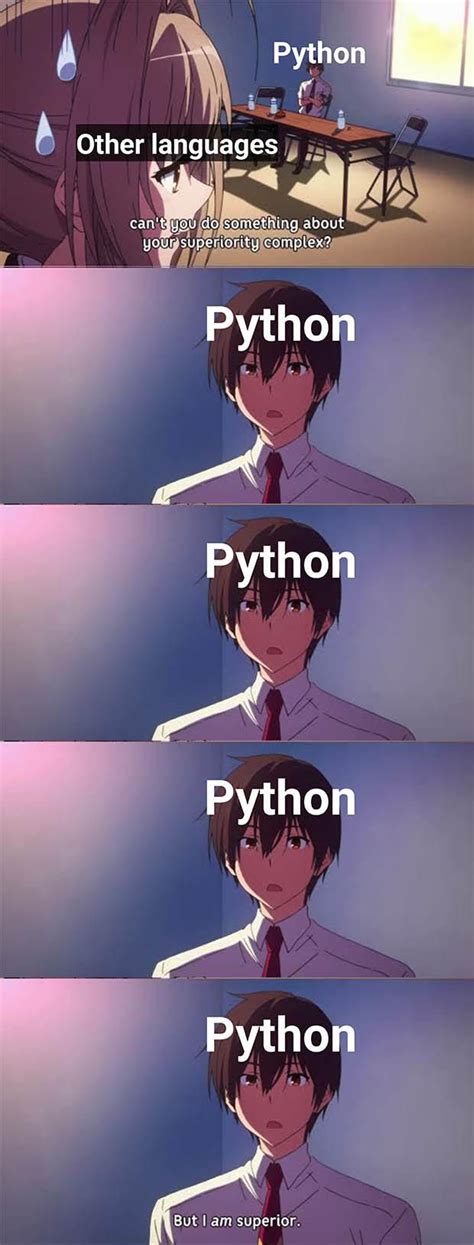 Fixed That Certain Meme About Python Programmerhumor Programmer
