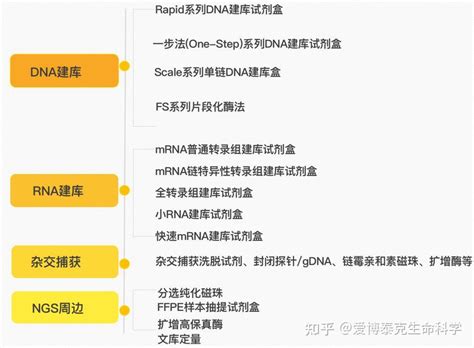 分子诊断行业的“标准跑姿” Pcr Ngs 双布局！ 知乎