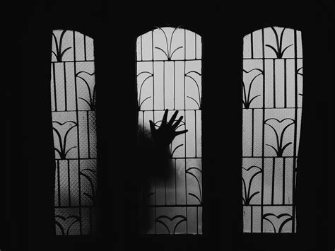 비에서 여자의 실루엣 · 무료 스톡 사진