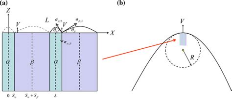 Schematic Diagram For Modeling Of Eutectic Dendrite Growth In