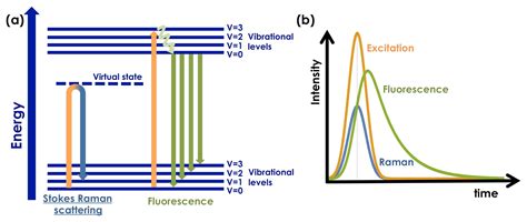 Modulated Raman Spectroscopy For Enhanced Cancer Diagnosis At The