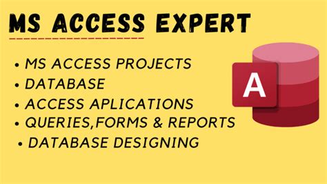 Build Database Application In Microsoft Access By Saiffibutt Fiverr