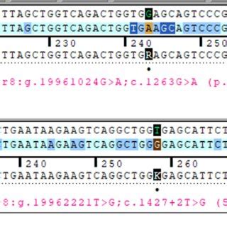 A Sequence And Alignment To Reference Sequence Showing The Variation In
