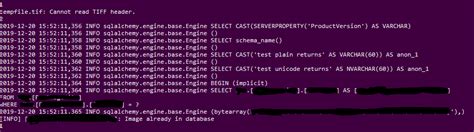 Undefined Behavior Using Numpy Array To Convert Instances Of Pil Tiffimageplugin
