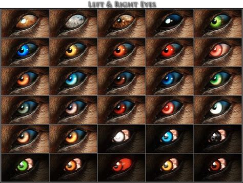 Werewolf Eye Color Meaning