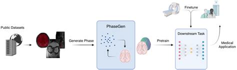 논문 리뷰 Phasegen A Diffusion Based Approach For Complex Valued Mri Data Generation