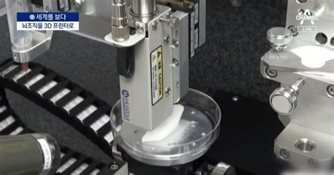 [세계를 보다]세포부터 건물까지…3d 프린터로 ‘뚝딱