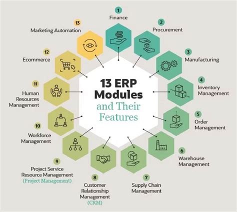 What Is Oracle Netsuite Best Erp Provider In Middle East