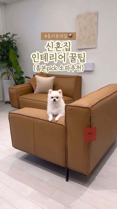 신혼집 인테리어 꿀팁 신혼부부 신혼부부인테리어 거실인테리어 소파 소파추천 알로소 모듈소파 Youtube