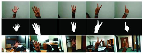 Labelled Images Using The Proposed Automatic Image Labelling Algorithm