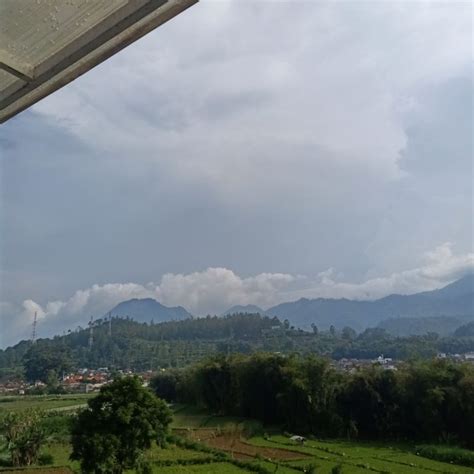 Jual Stiker Custom Shopee Indonesia