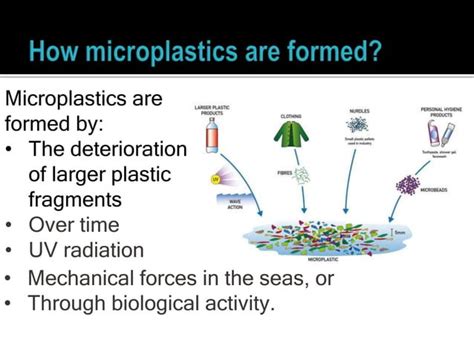 Trophic Transfer Of Microplastics And Mixed Contaminants In The Marine Food Web And Implications