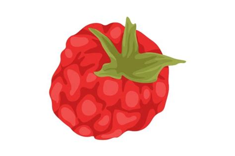 Juicy Raspberry Vector Illustration Graphic By Hijaudaun Creative Fabrica