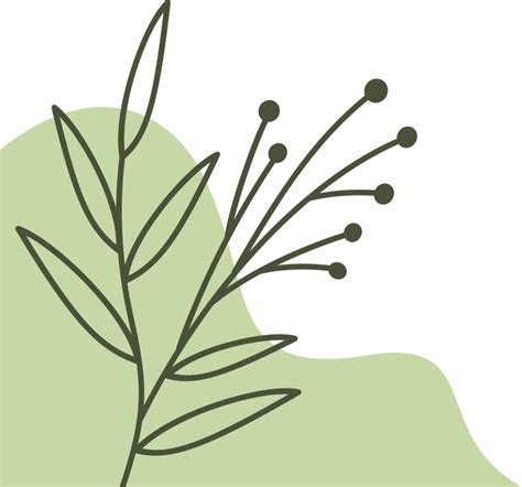 Hand Drawn Leaf Line Art With Aesthetic Shape Or Aesthetic Blob Simple