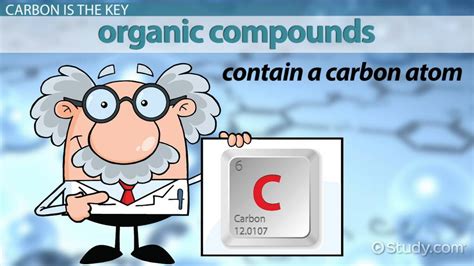Naming Organic Compounds Rules Practice Video Lesson Transcript Study Com