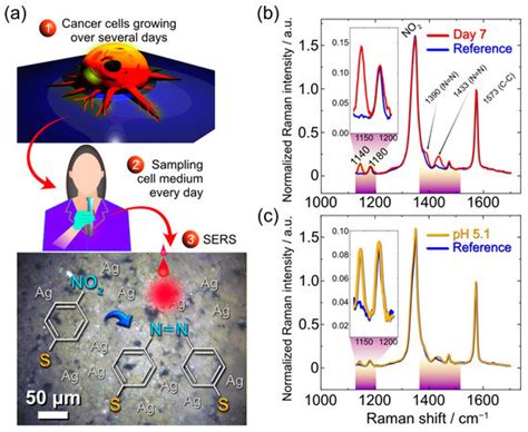 Molecular Plasmonic Silver Forests For The Photocatalytic Driven Sensing Platforms