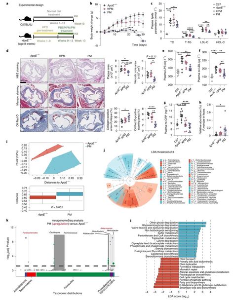 3 肿瘤细胞 氨基酸代谢 非靶向代谢 脂质 多组学代谢流检测分析 脂肪酸定量 肠道微生物菌群检测 麦特绘谱