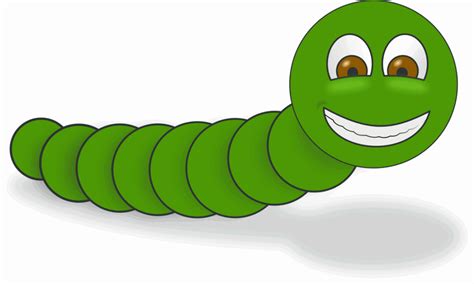 Polyps And Parasites Nature Of Healing Polyps And Parasites