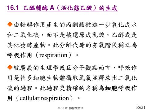 有氧代謝 Aerobic Metabolism ppt download