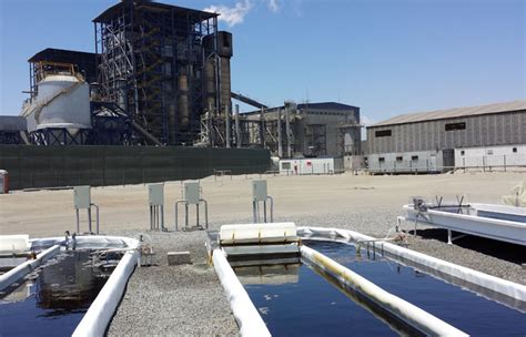 Microalgae Production For Biofuels Spike Renewables