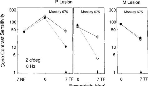 Figure 4 From The Effects Of Parvocellular Lateral Geniculate Lesions On The Acuity And Contrast